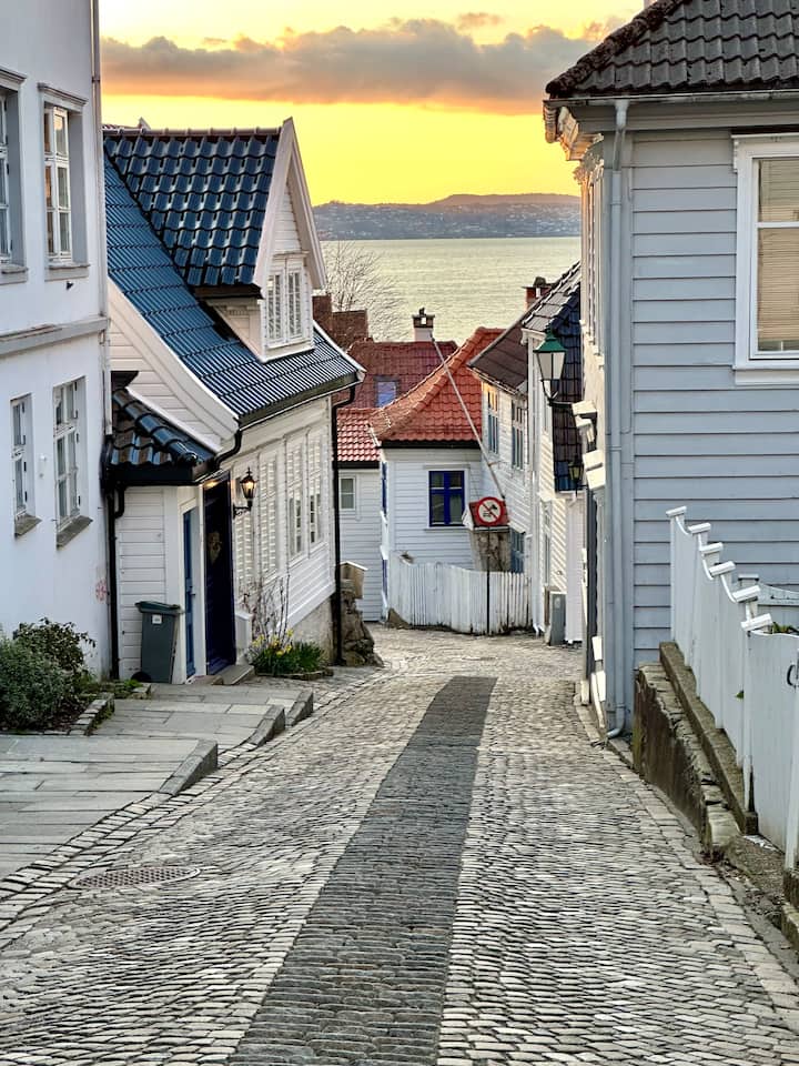 Sjarmerende Skuteviken - Bergen