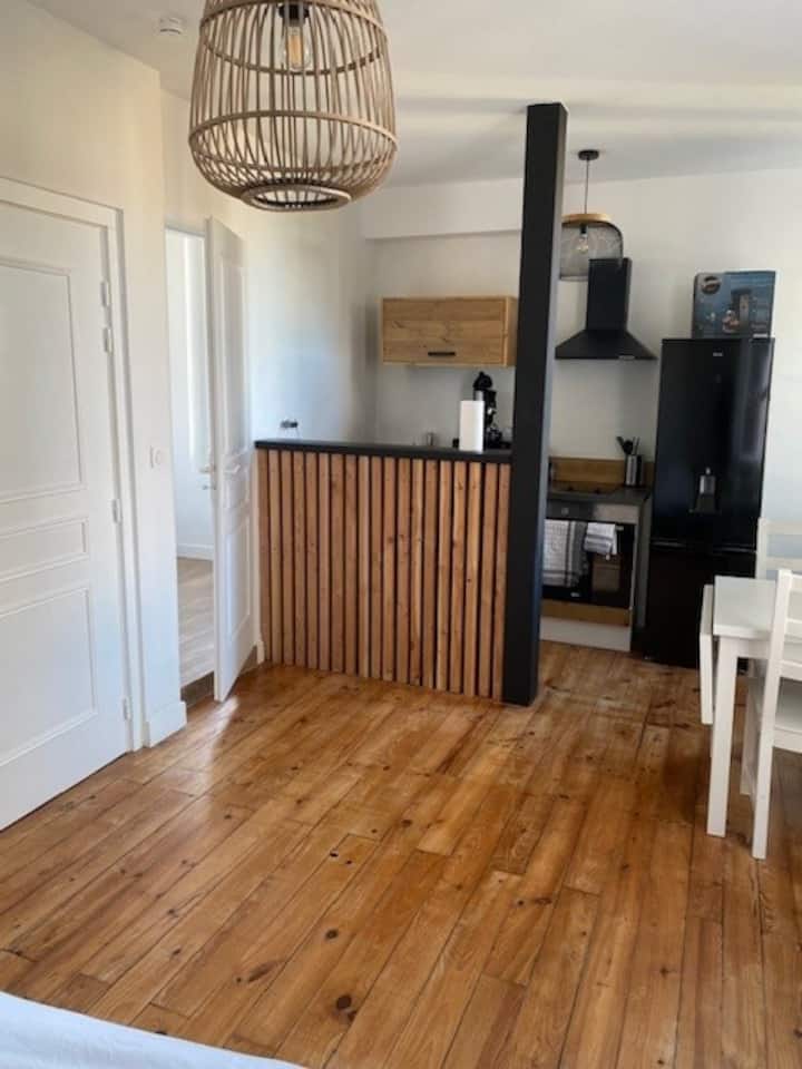 Studio Climatisé Avec Parking Et Jardin - Mont-de-Marsan