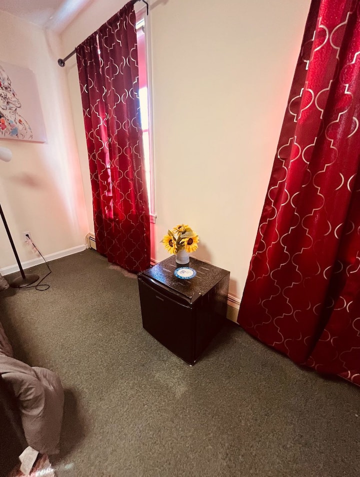 Bautiful 1bedroom In Harvard Square Free Parking - Cambridge, MA