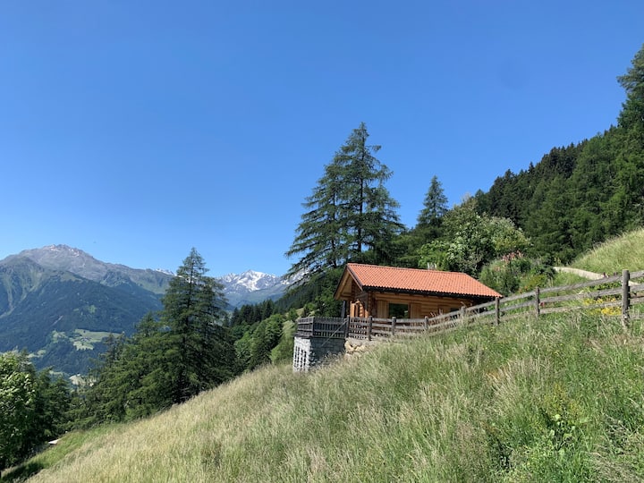 Chalet Leitn-anger - Racines