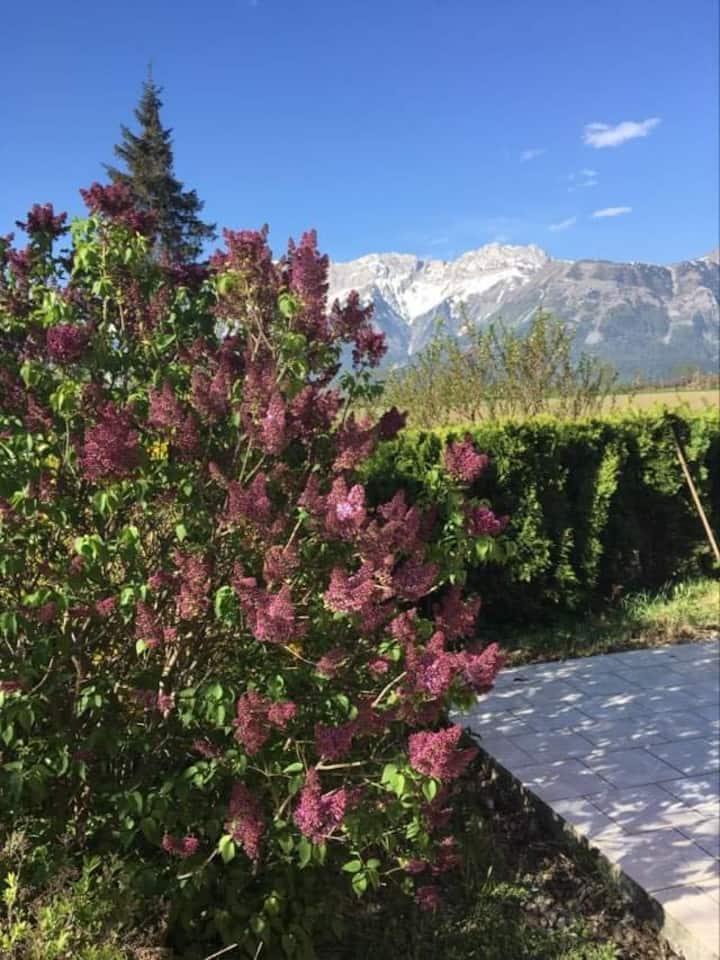 Mon Chalet Dans Les ÉCrins - Corps