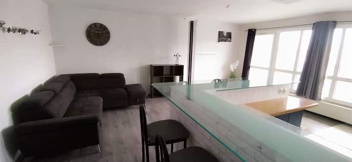 Bel Appart Avec Terrasse De 30m² - Orleans