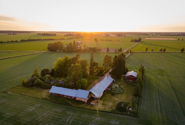 The Whole Place @ Ruutin Kartano - Vaasa