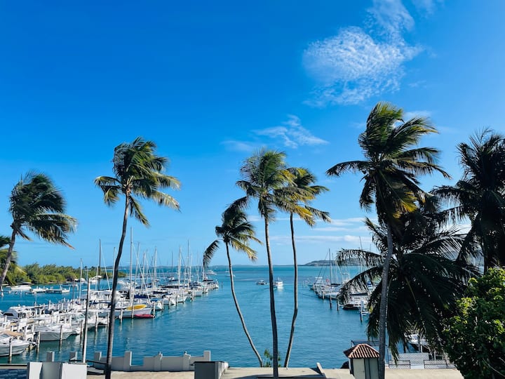 Luxury Marina View Apt Oceanfront Fajardo Pr 1b/1b - Ceiba