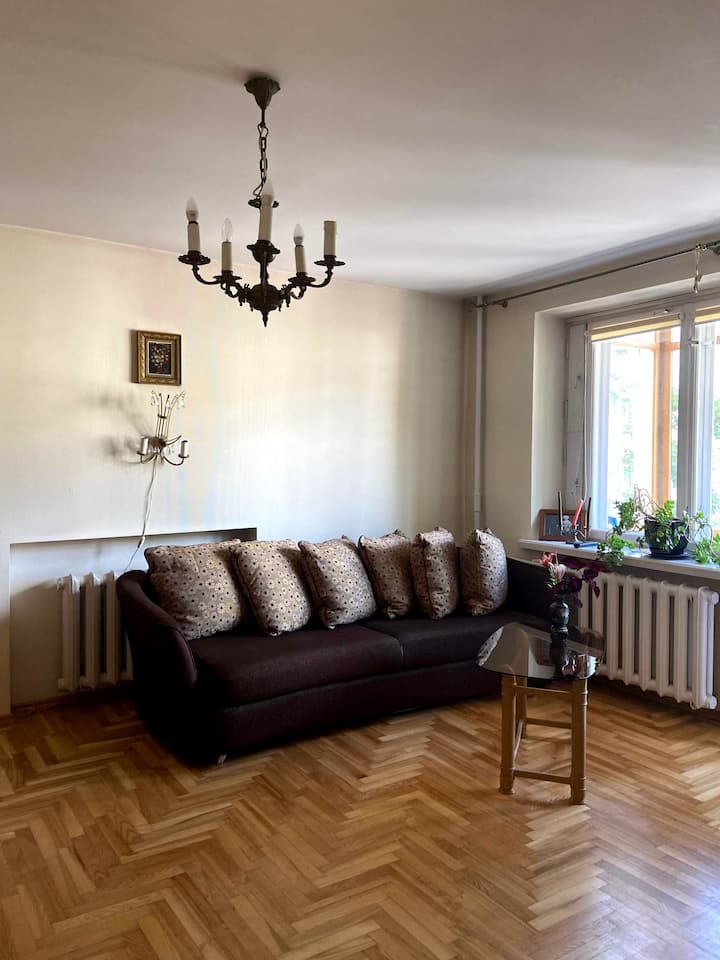 Apartment In The City Center - Kaunas