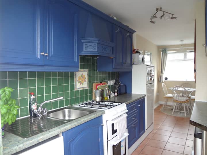 Cosy Home In Dublin - Dublin