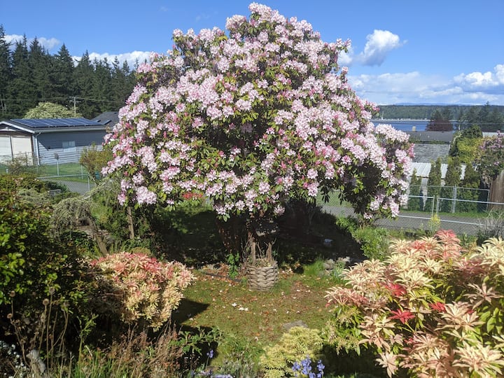 Ocean Peek Garden Suite - Campbell River