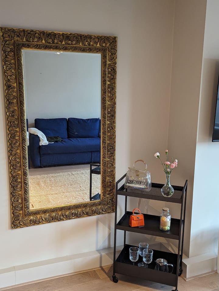 Petit Luxe Sur Les Canaux - Zaandam