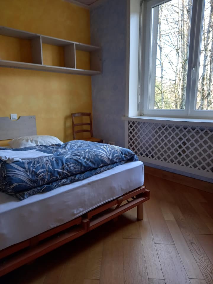 Chambre Au Centre Ville - Besançon