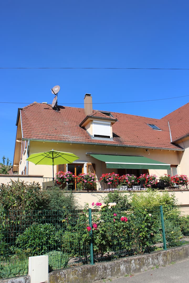 Gîte De La Tour Des Fripons. - Alsace