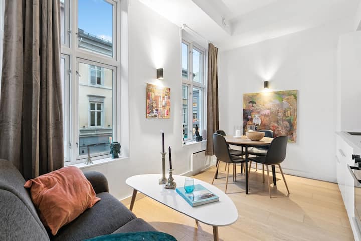 Oslo Sentrum, Koselig Leilighet, Fullt Utstyrt - Oslo