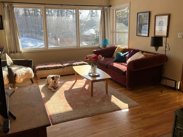 Artist Home
2beds + Pullout Couch
2 Nights+ Only - Montpelier, VT