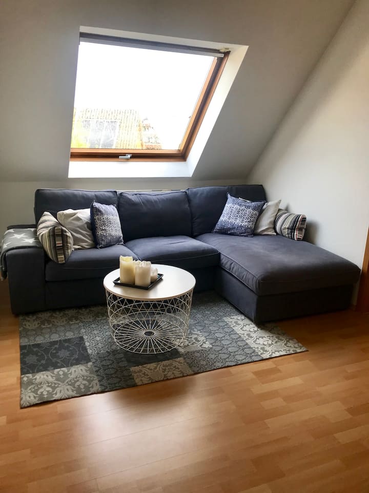Rheinau Apartment - Rheinau