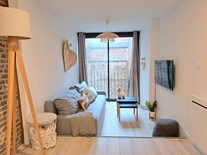 Splendide T2 - Vieux Lille En Duplex Avec Terrasse - ibis budget Lille Centre