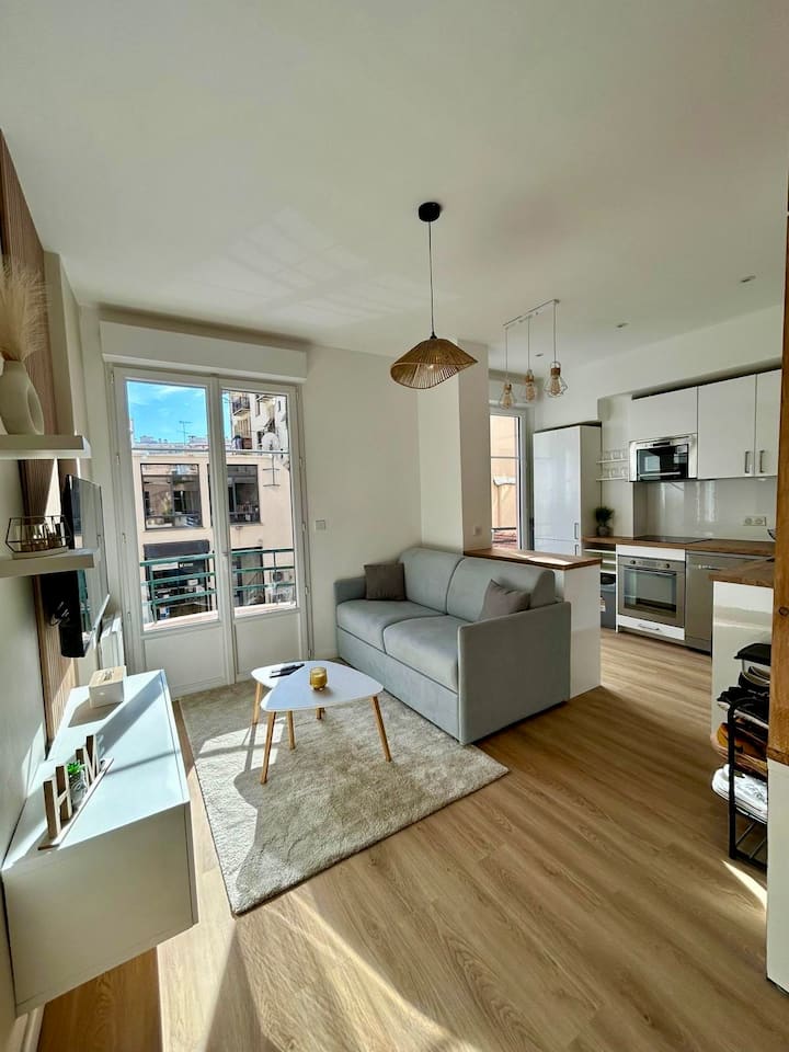Magnifique Appartement-hyper Centre Ville De Nice - Nice