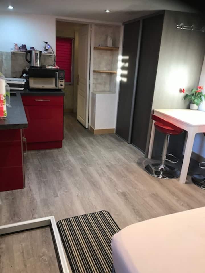 Studio Stadegroupama Aréna Lyon - Meyzieu