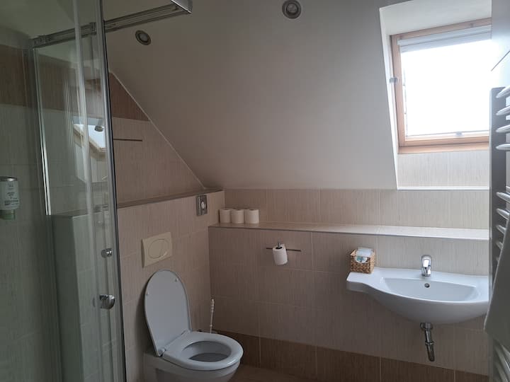 Rodinný Pension - 布拉格