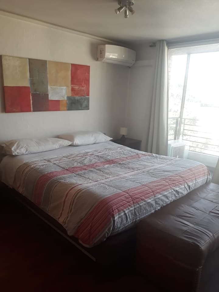 Estudio Amoblado En Providencia - 프로비덴시아