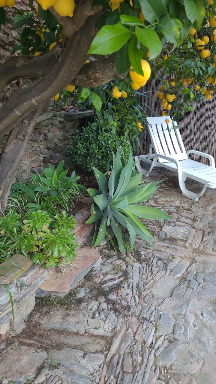 Casa Tia Anica - Monsaraz