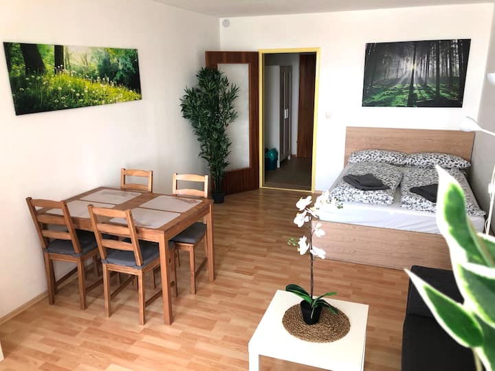 Apartment Niceview - Regensburg