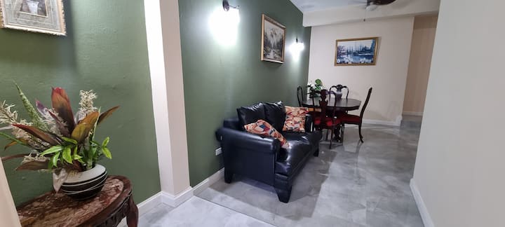 Val's Apt. 2 - Kingston