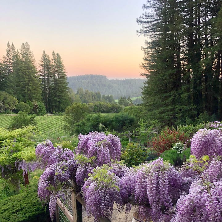 Willow Creek Retreat - Occidental, CA