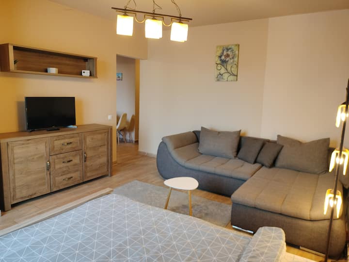 Central Apartment In M. Viteazu - Cluj-Napoca