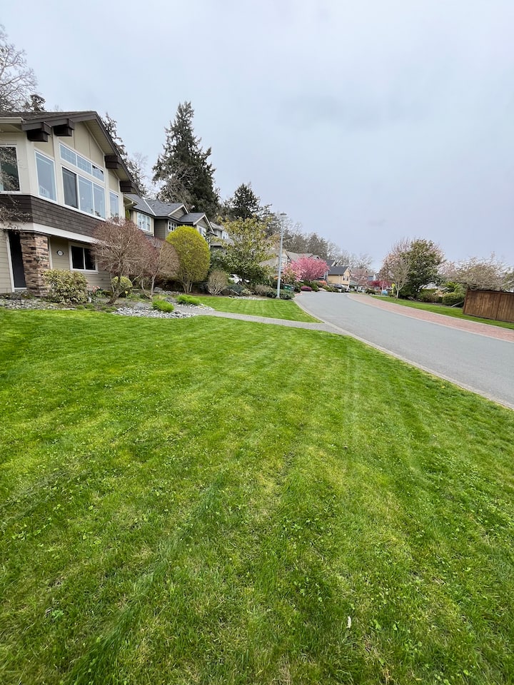 Beautiful One Bedroom Suite - 사니치