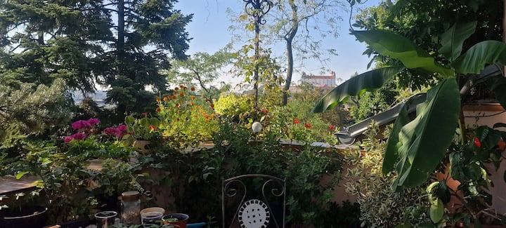 Magický 5 Izbový Apartmán, Centrum - Bratysława