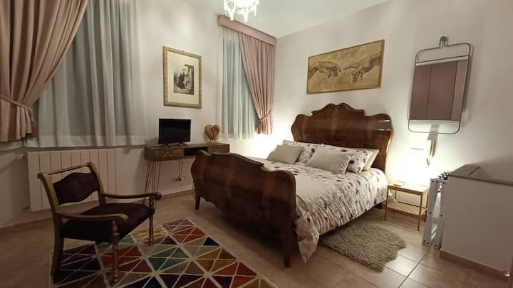 D'amico Home - Frosinone Centro - Frosinone