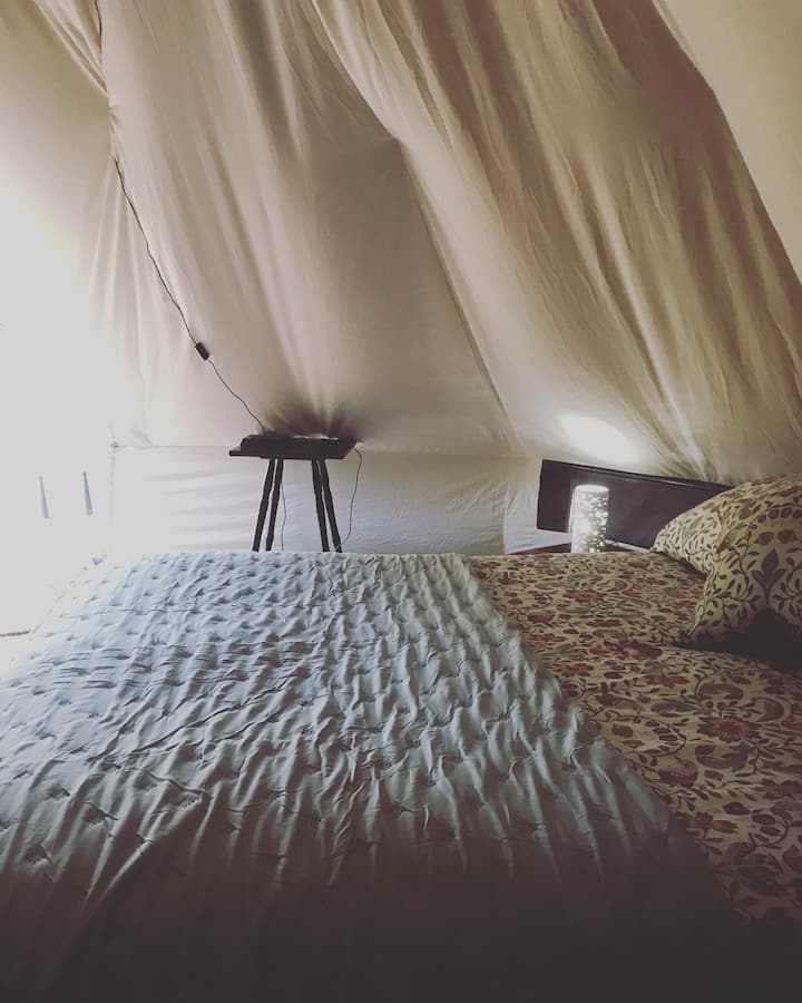 Coppice Camp Nomadic Bell Tent - Llangollen