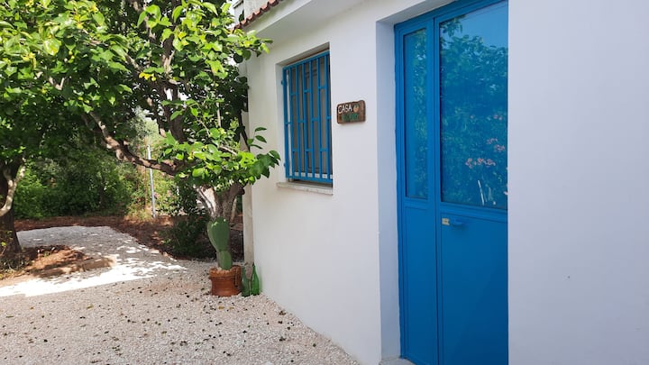 Casa Trullo Bianco: Casa Vicino Onder De Olijfboom - Francavilla Fontana