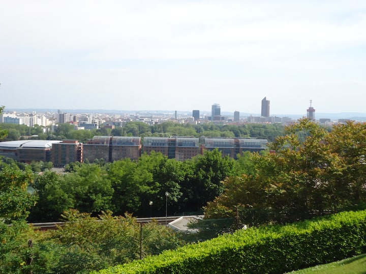 Studio Vue Panoramique Sur Lyon - ibis Lyon Caluire Cité Internationale