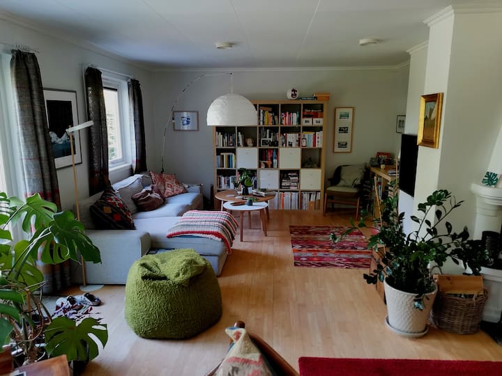 Rooms In Cozy House - Moss