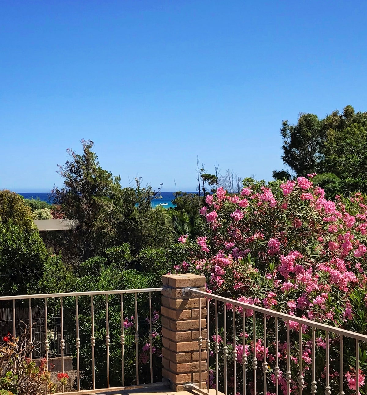 Il Fico di Mare - 100m from the beach - Houses for Rent in Chia ...