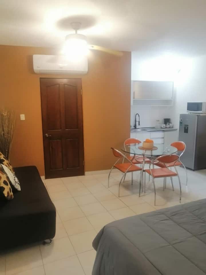 Loft Al Sur De Monterrey - Monterrey