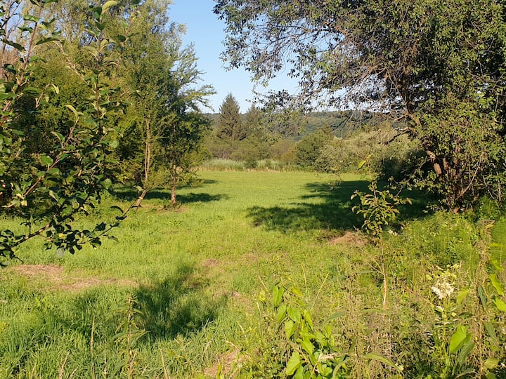2-zr.-grünoase In Herrsching - Ammersee