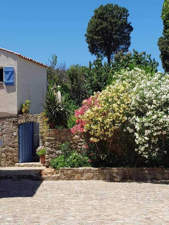 Appartement En Rez De Jardin 10 Min L'ile Rousse - L'Île-Rousse
