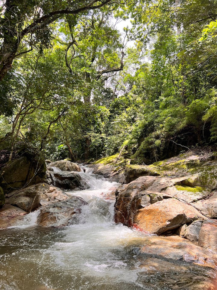 Casita En Una Jungla Secreta - Minca