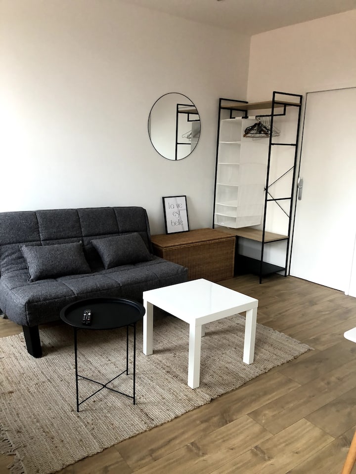 Joli Studio Entièrement Rénové - Saint-Étienne