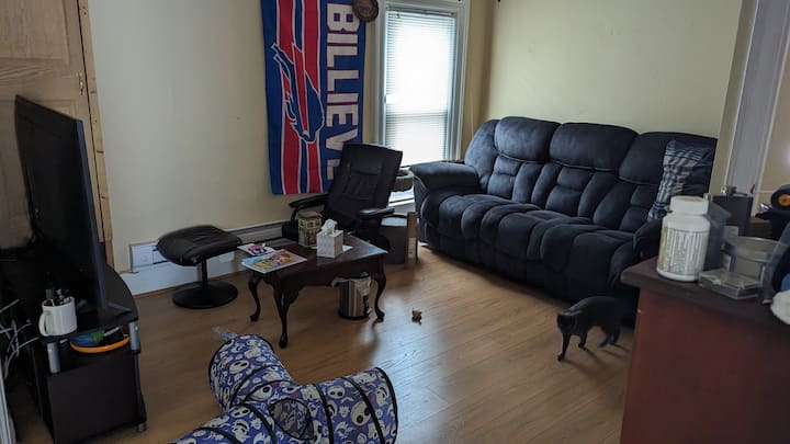 Room Perfect For Travel Nurses Or Visits To Suny - Fredonia, NY