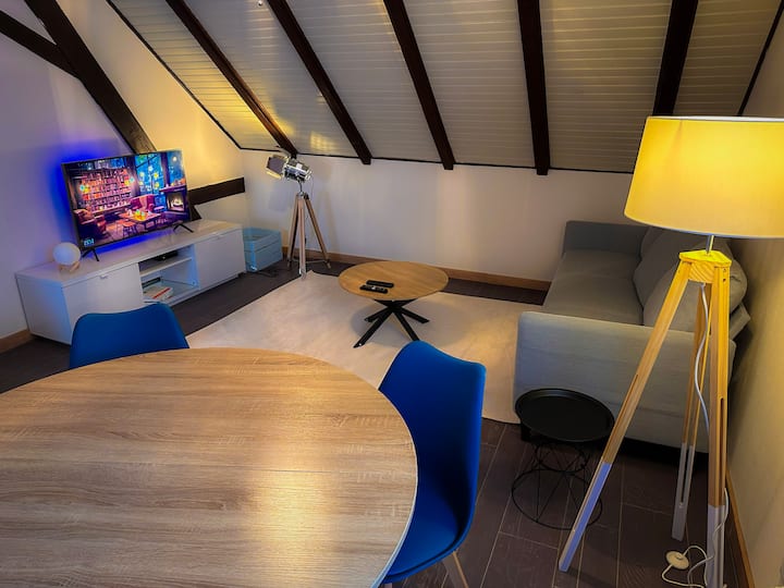 Spacieux Appartement Cosy - Ottmarsheim