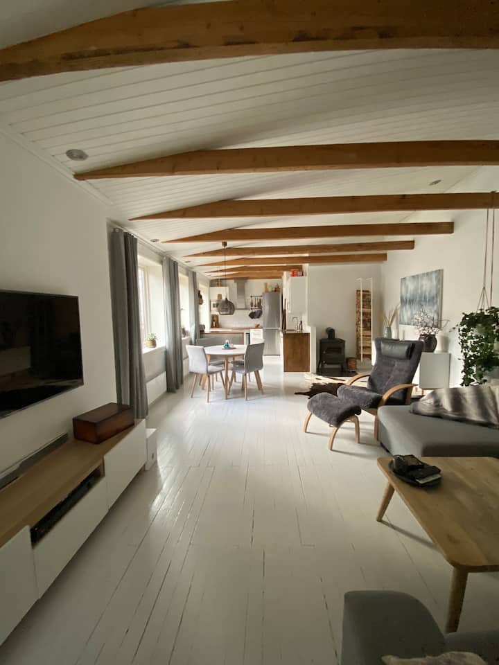 Takvåning I Hjärtat Av Oslo - Oslo