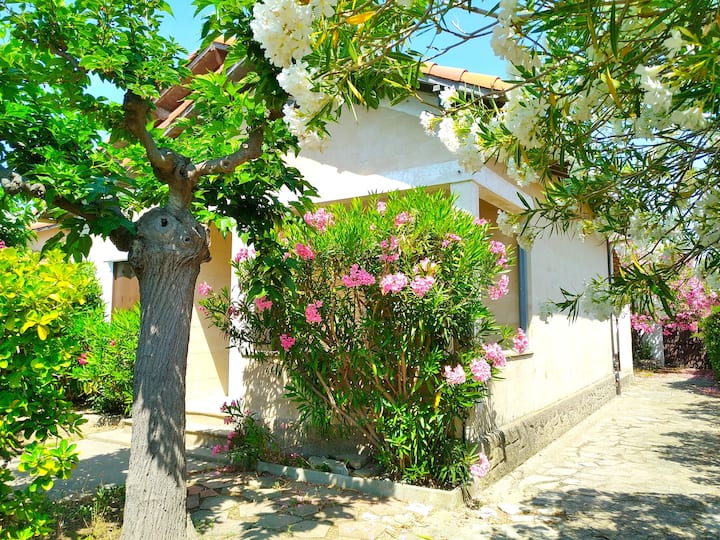 Villa à 50m De La Plage - Mauguio