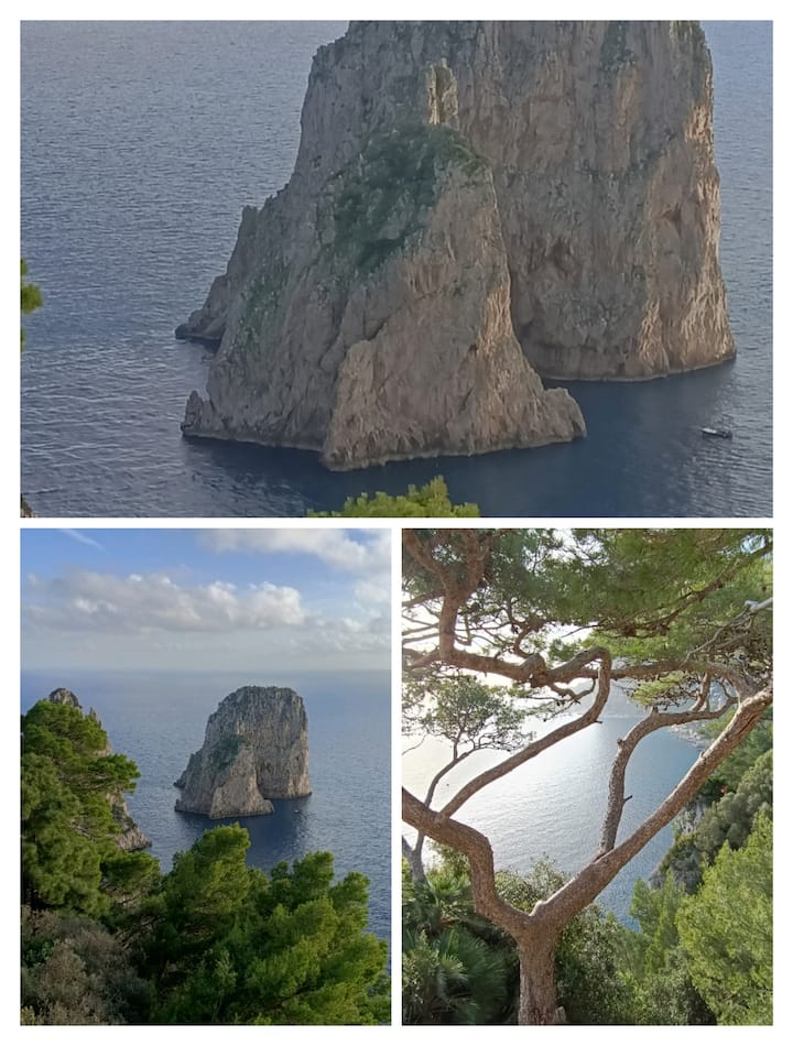 Suite Saint Michael 3 Capri - Capri