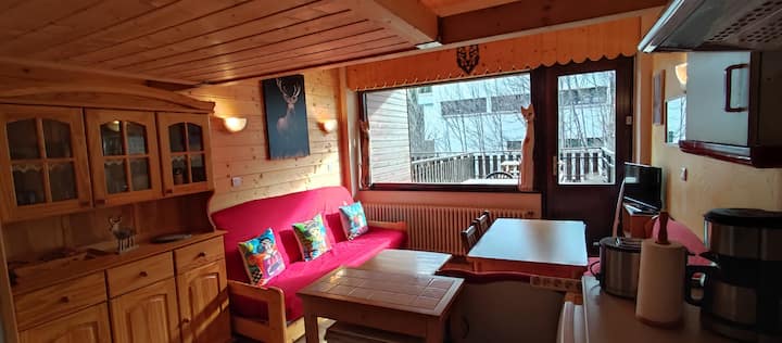 Spacieux Studio Pied Des Pistes Accès Très Rapide. - Pra-Loup