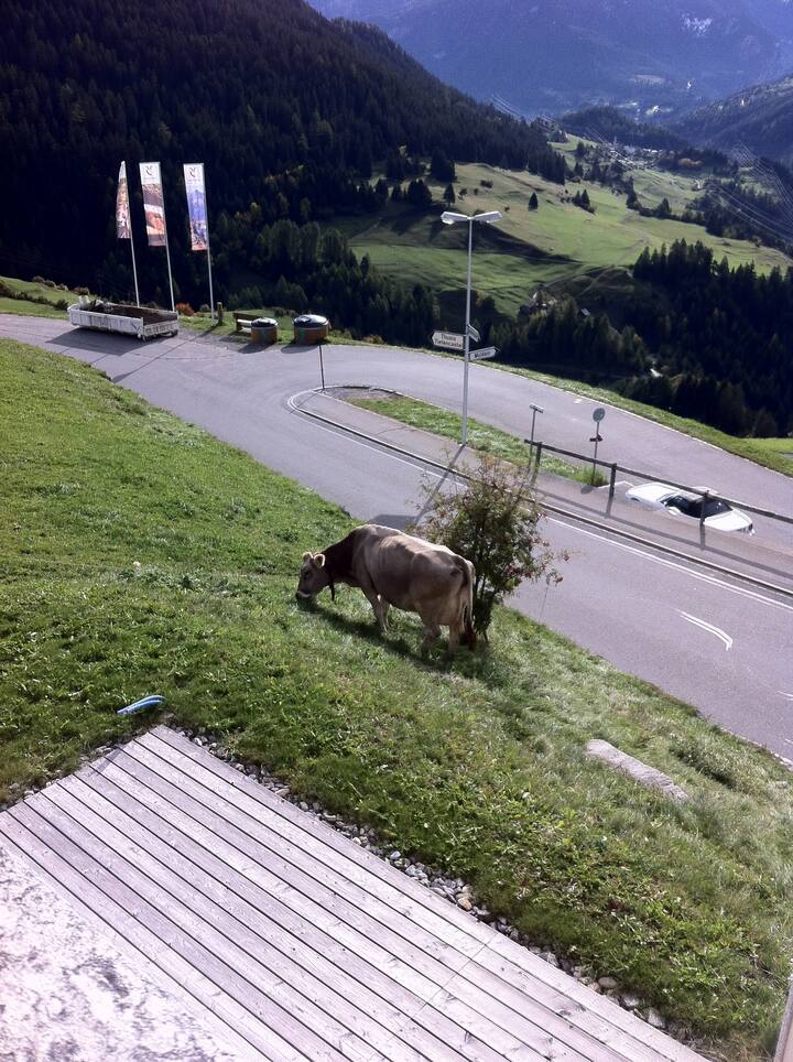 Sonnenstube Auf 1300 M.ü.meer - Arosa