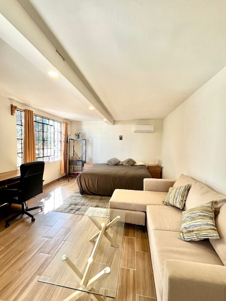 Loft Pino Centro! A/c + King B. - Aguascalientes