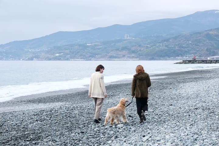 いぬと泊まれる貸し切り宿「いぬと海辺」古民家館（北館） - Odawara
