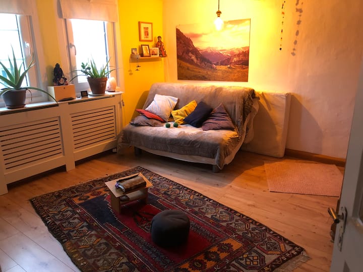 (Price 2 Person) 2rooms+bathroom+sauna+garden - Germany